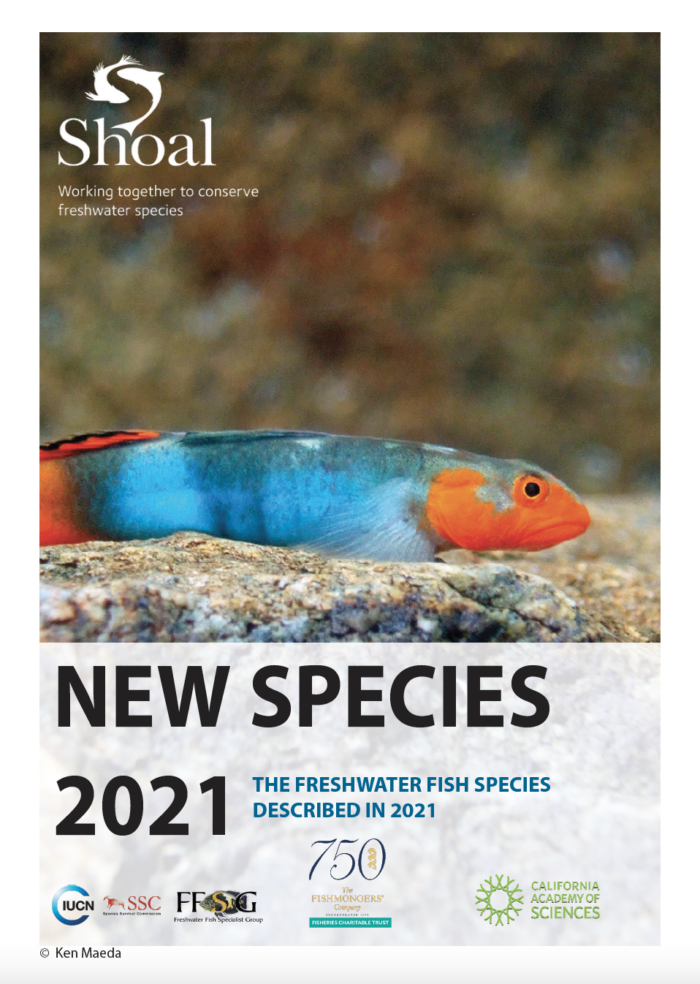 New Species 2021 report released - Shoal
