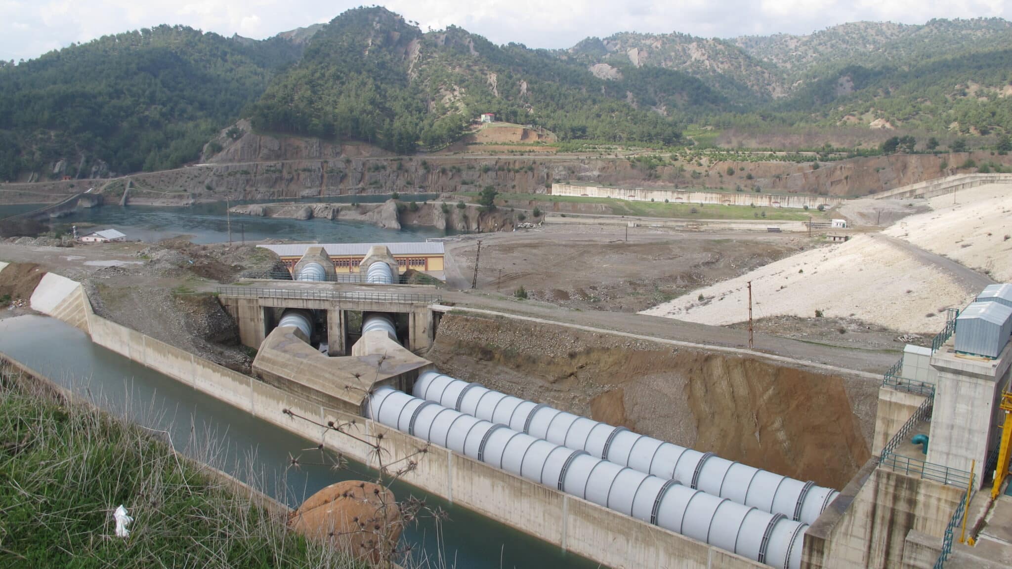 One quarter of freshwater animals at risk of extinction - IUCN Red List ...